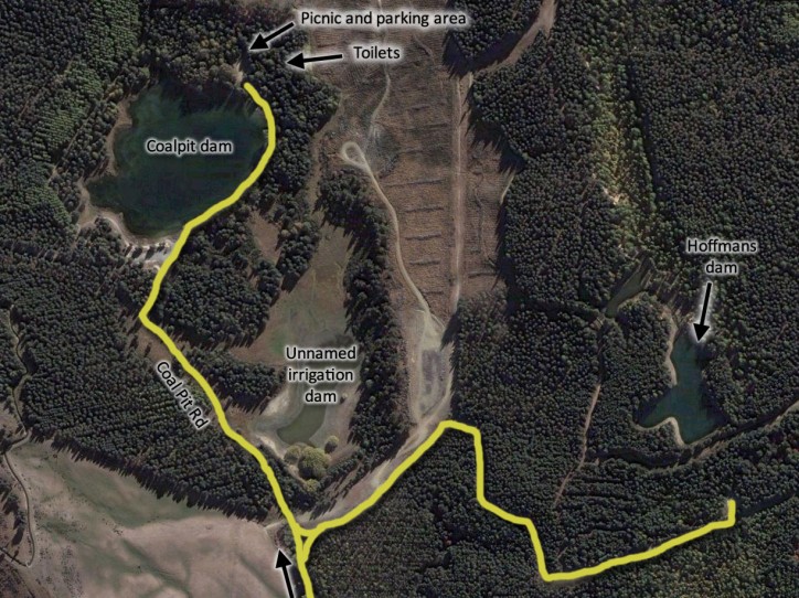 Map of Naseby forest - Ice Block